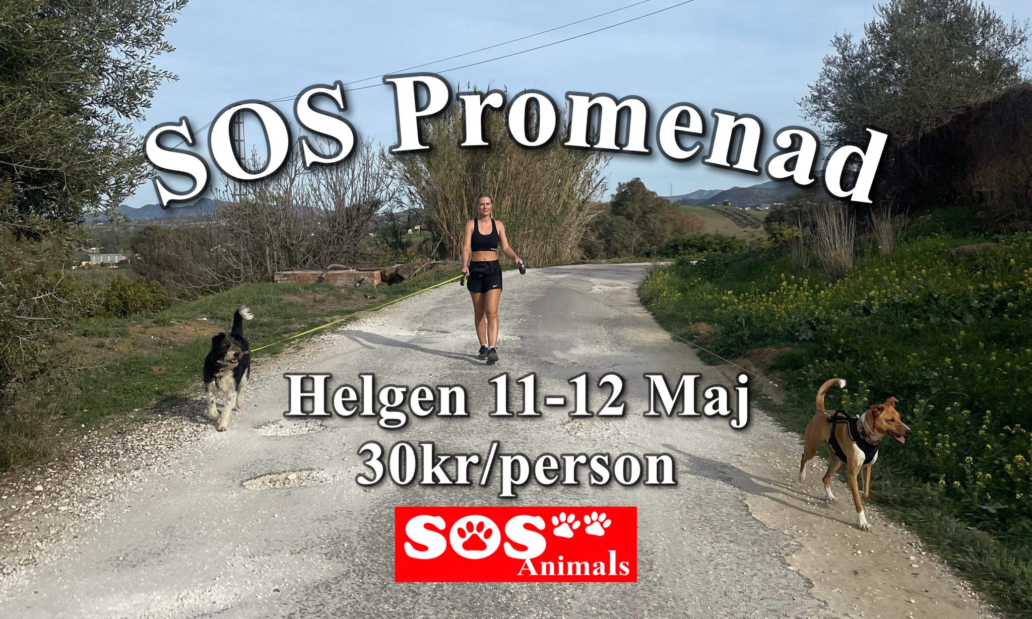 SOS Animals - Alla hundar har rätt till ett kärleksfullt hem!